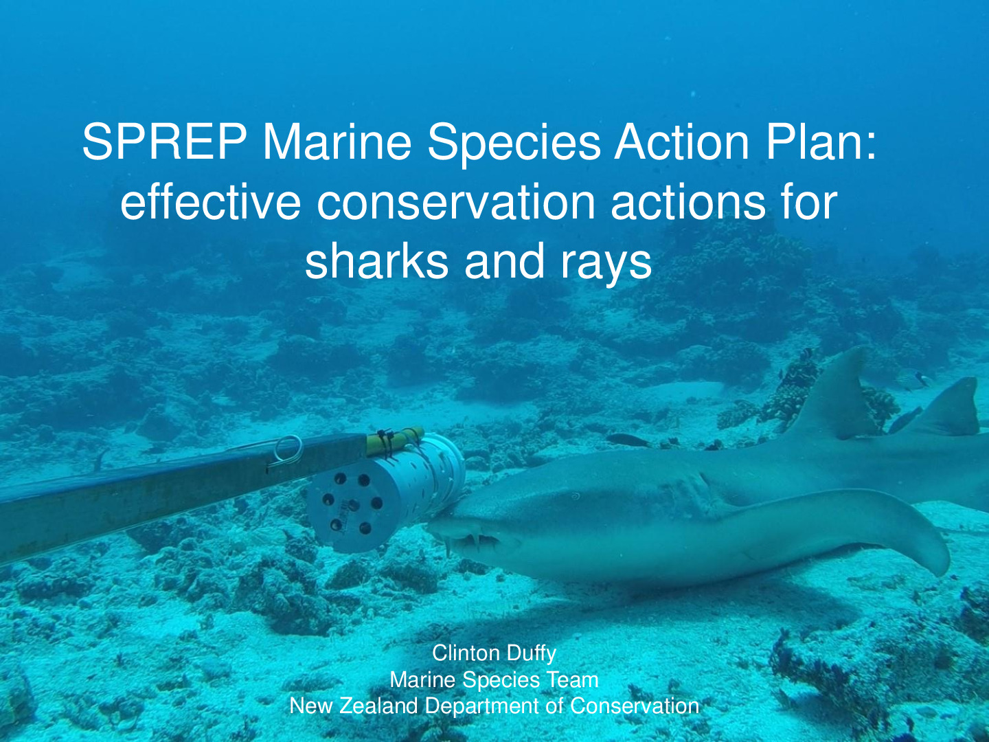 SPREP Marine species action plan: effective conservation actions for ...