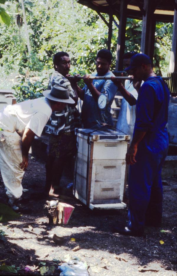 Uafato Conservation Area in Samoa